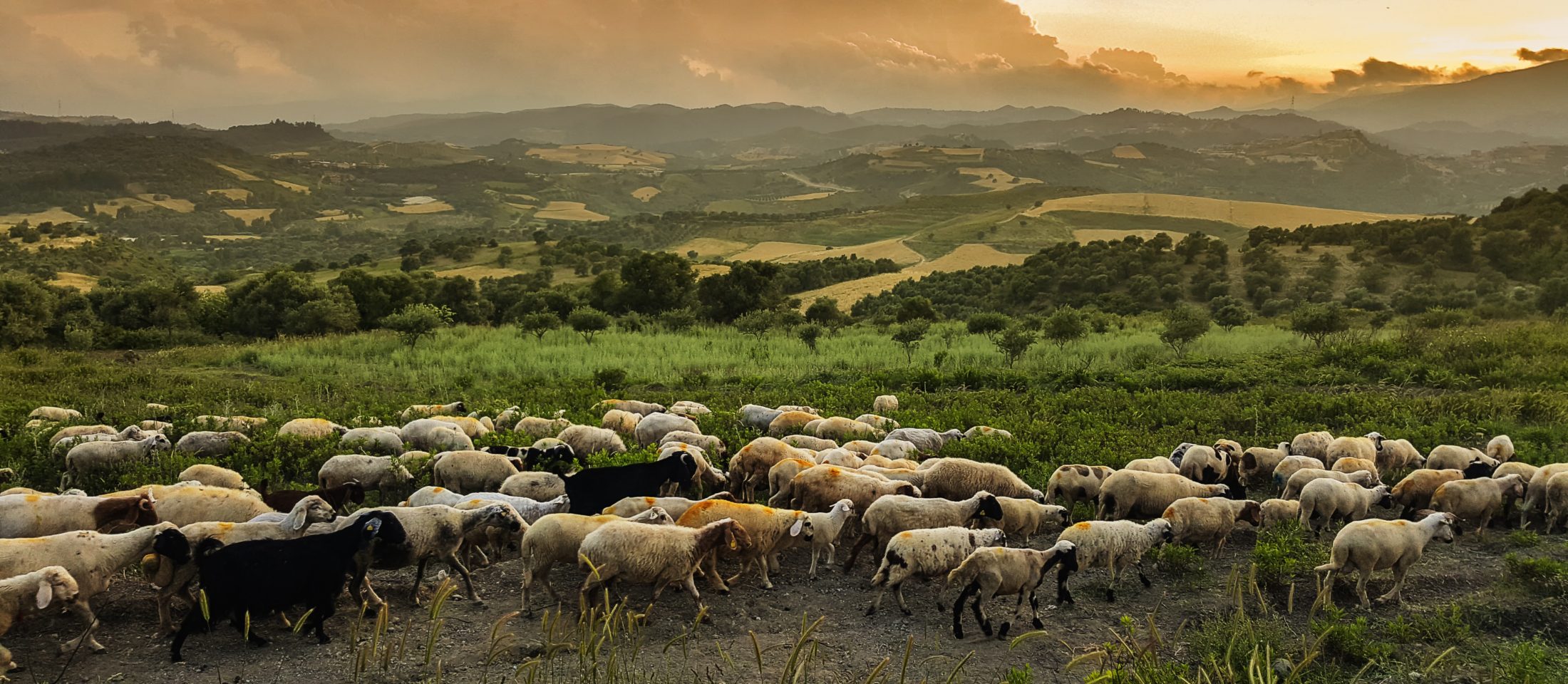 Challenges of Modern-Day Farming - Plentiful Lands